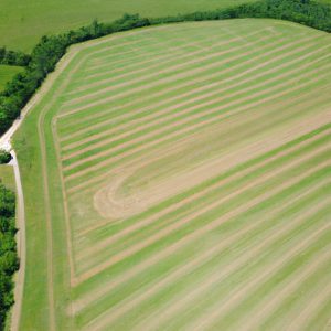 Regenerative Farming: Does It Use More Land? Your Complete Guide