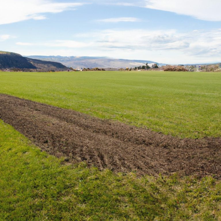 Regenerative Farming: Does it Work? - An In-depth Look into Sustainable ...