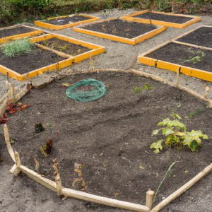 How to Build a Permaculture Garden: A Comprehensive Guide for ...