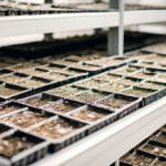 Regenerative Farm from Scratch: Step-by-step Guide to Starting Your Own