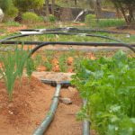 Self Sustaining Farm: Practical Guide on Creating Your Own