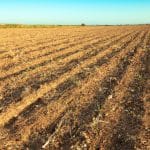 Agriculture Careers: Key Opportunities and Paths in the Field