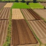 Aztec Agriculture: Innovations and Practices of Ancient Mesoamerica