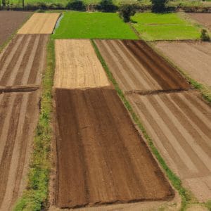 Aztec Agriculture: Innovations and Practices of Ancient Mesoamerica