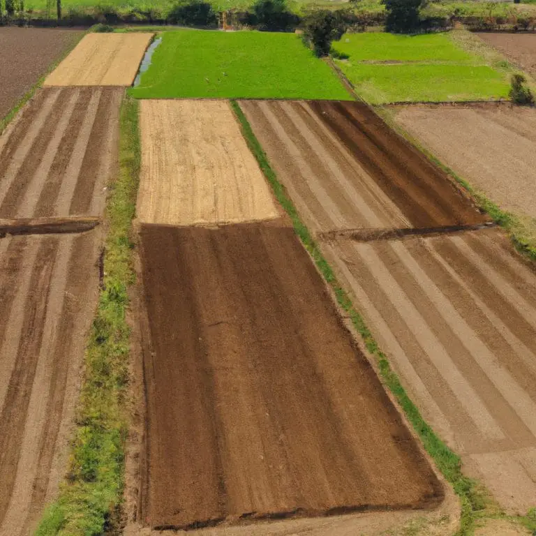 Aztec Agriculture: Innovations and Practices of Ancient Mesoamerica