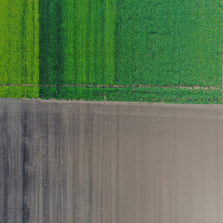 Commercial Agriculture: Benefits, Challenges, and Best Practices