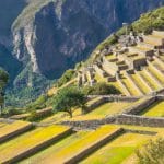 Inca Agriculture: Techniques and Legacy