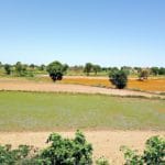 Plantation Agriculture AP Human Geography: Understanding Its Impact and ...