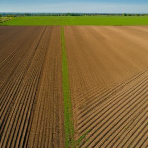 Southern Agriculture: Understanding Trends and Practices