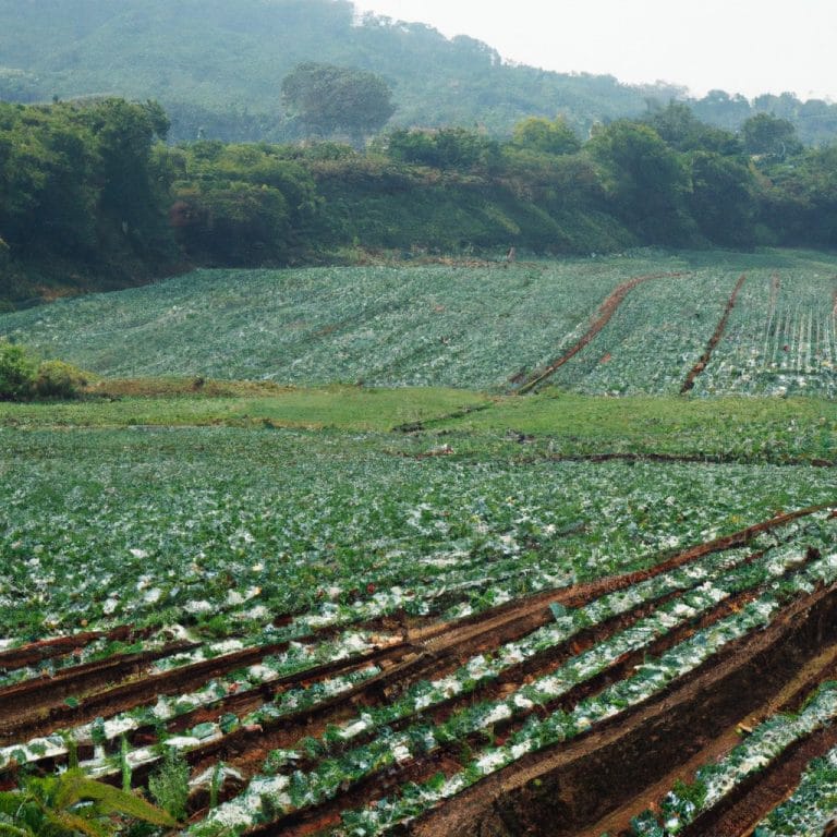 Subsistence Farming: Understanding Its Role in Sustainable Living