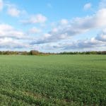 Swidden Agriculture: Understanding the Traditional Farming Practice