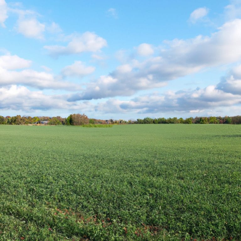 Swidden Agriculture: Understanding the Traditional Farming Practice