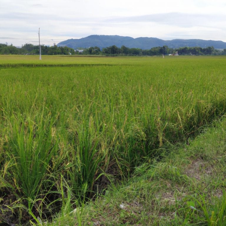 Why Is Agriculture Important: Understanding Its Role in Our Lives