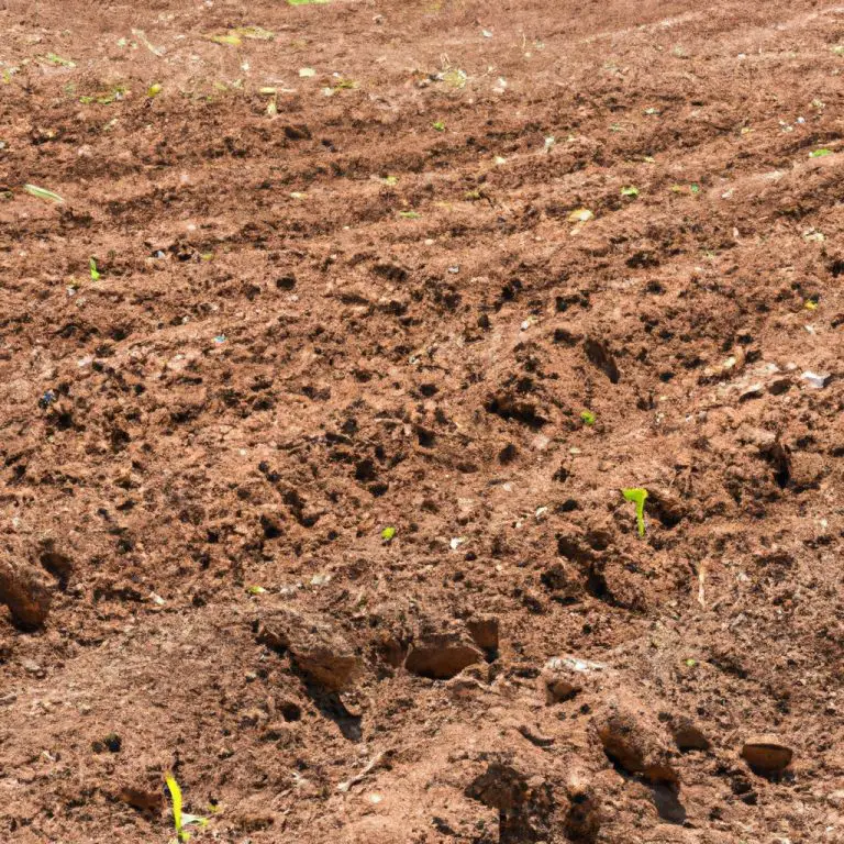How Do Conservation Tillage Practices in Agriculture Benefit the Soil? How Do Conservation Tillage Practices in Agriculture Benefit the Soil?