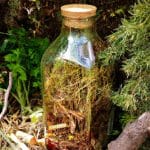 Mystical Agriculture Infusion Altar: How to Set Up and Use