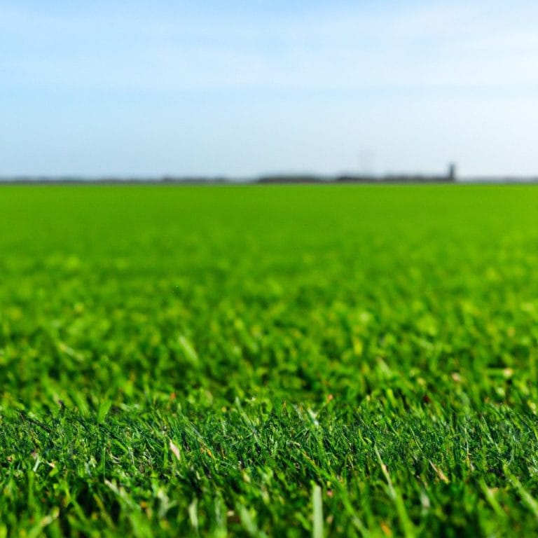 Netherlands Agriculture: Secrets to Sustainable Success