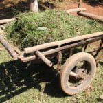 Traditional Agriculture: Benefits, Challenges, and Sustainable Practices