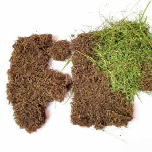 Symbol for Agriculture: Uncovering the Stories Behind Farm Emblems