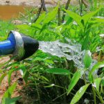 Water Crops Wisely for a Greener Future